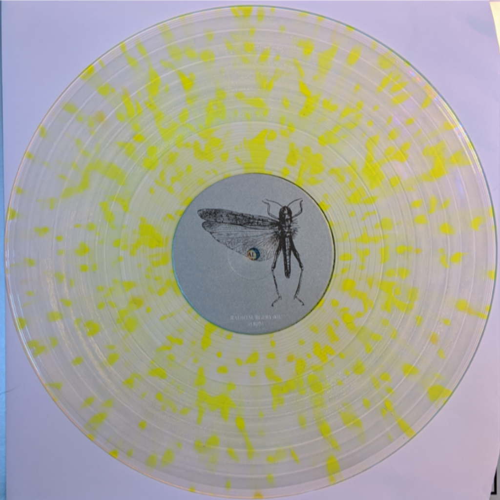 the locust - the peel sessions (live) - wake up